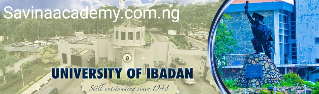 University of Ibadan Postgraduate Portal: How to Apply, Login, and ...